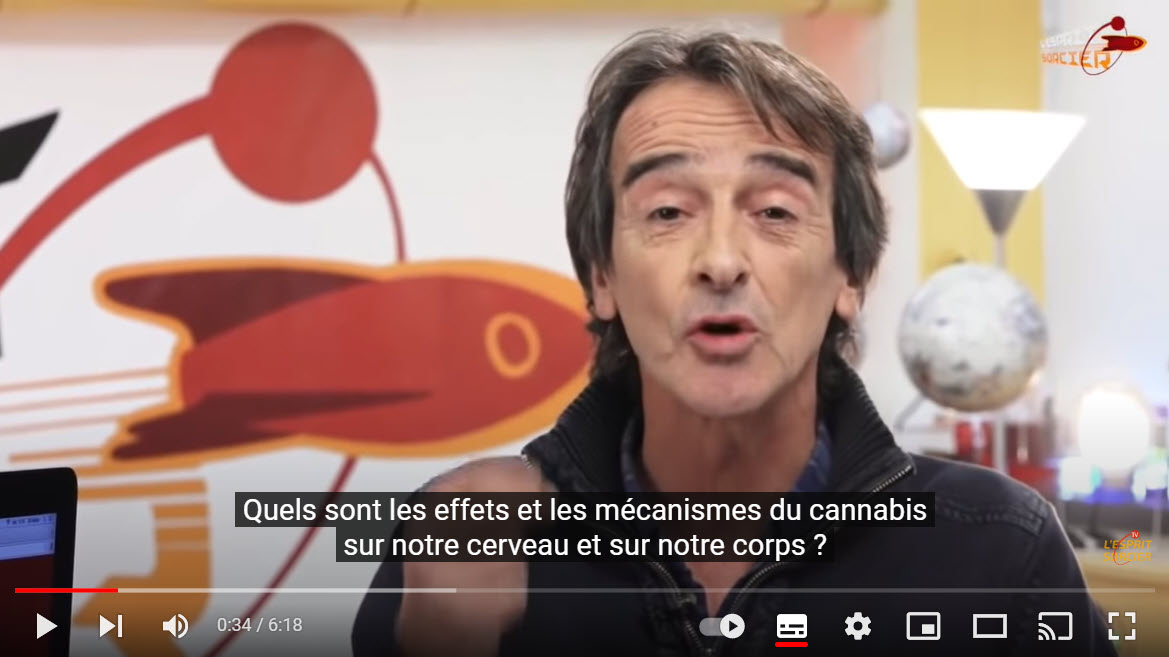 Les effets du cannabis sur notre esprit et notre corps